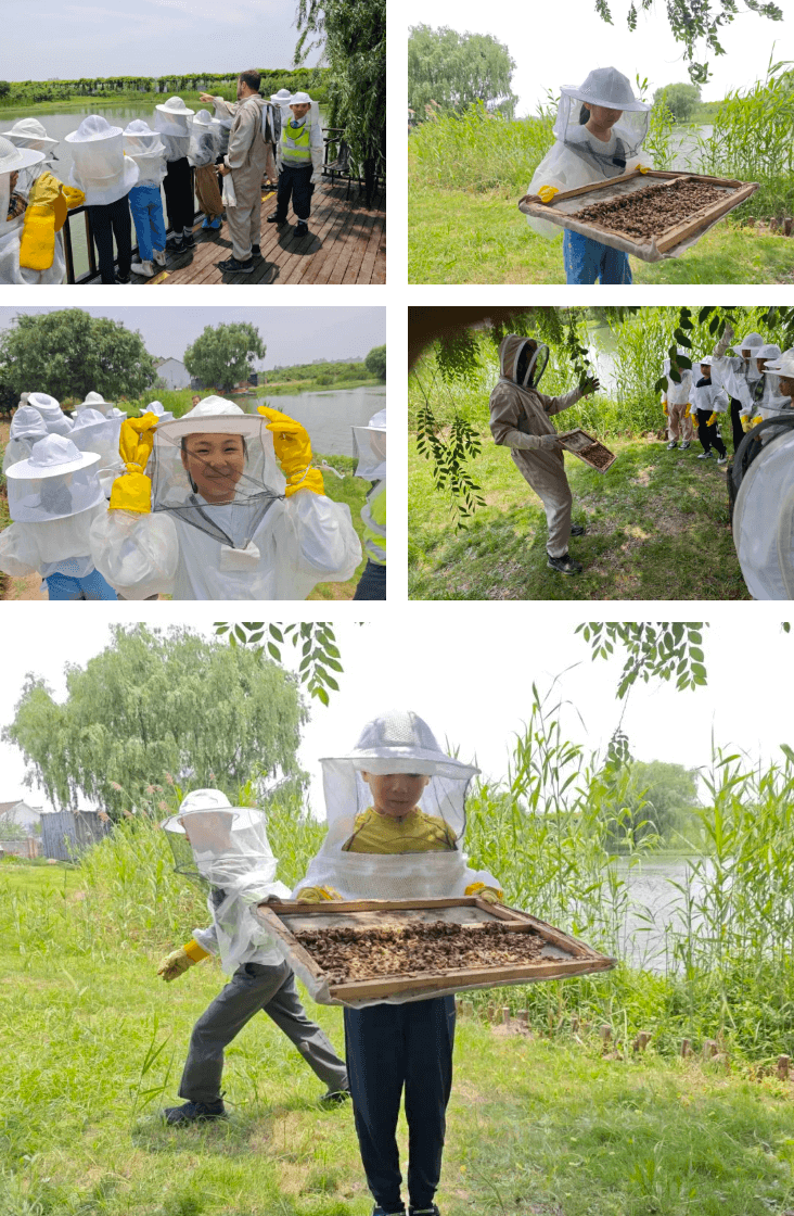 Learning from Nature Exploring Bees