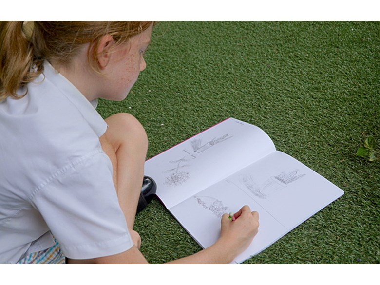 Observational Drawing Skills in Art ECA